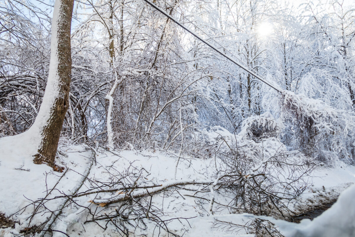 MECA News – meca.coop